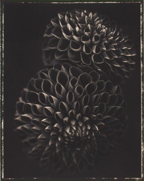 Photographs by Ron van Dongen